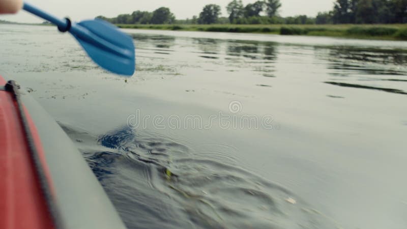Close-up of a Rower on a Boat Rowing with an Oar. Stock Footage - Video ...