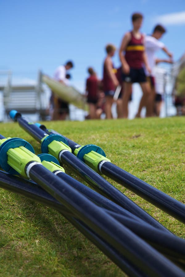 Rowing Regatta stock photo. Image of regatta, teams, competition - 29773282