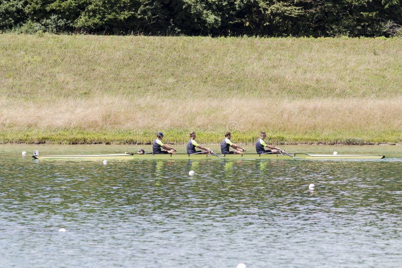 Rowers in Rowing Boats in a Lake Editorial Stock Photo - Image of ...