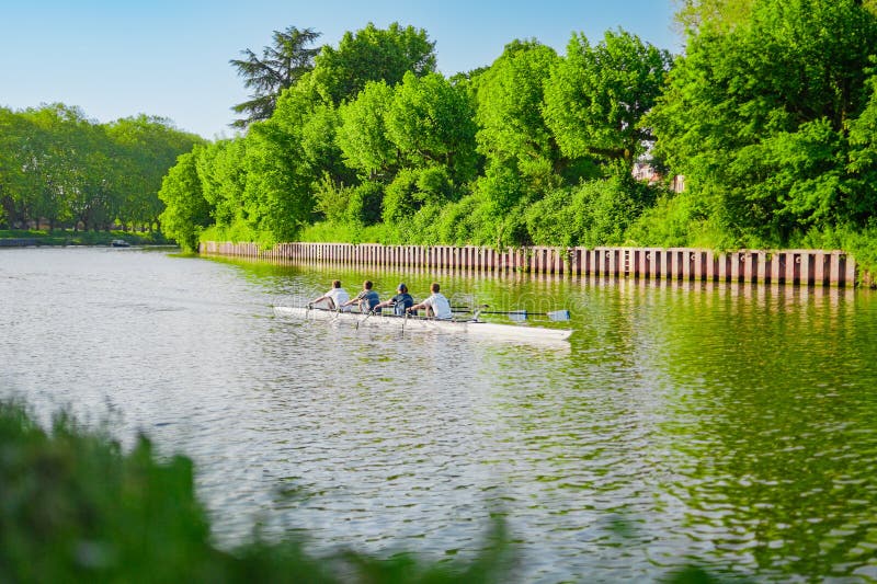 Rowers Rowing a Skiff on a Water River Stock Photo - Image of activity ... Rowers Rowing a Skiff on a Water River Stock Photo - Image of activity ...