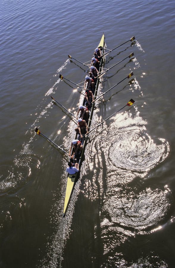 Rowing stock photo. Image of river, teamwork, water, rowing - 2193208