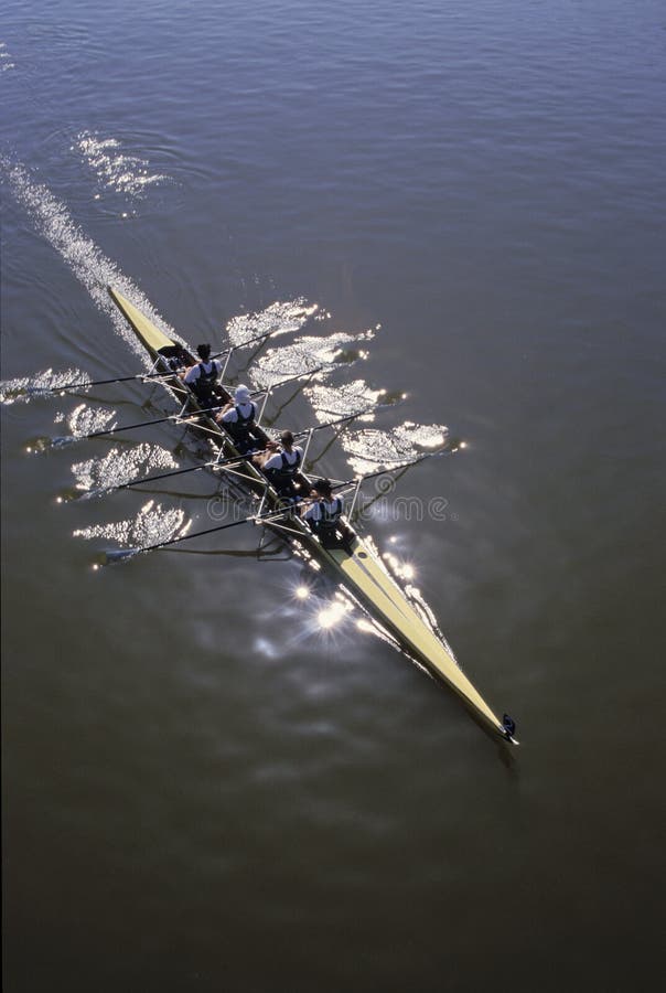 Rowing stock photo. Image of rower, sport, racing, cruise - 2198906