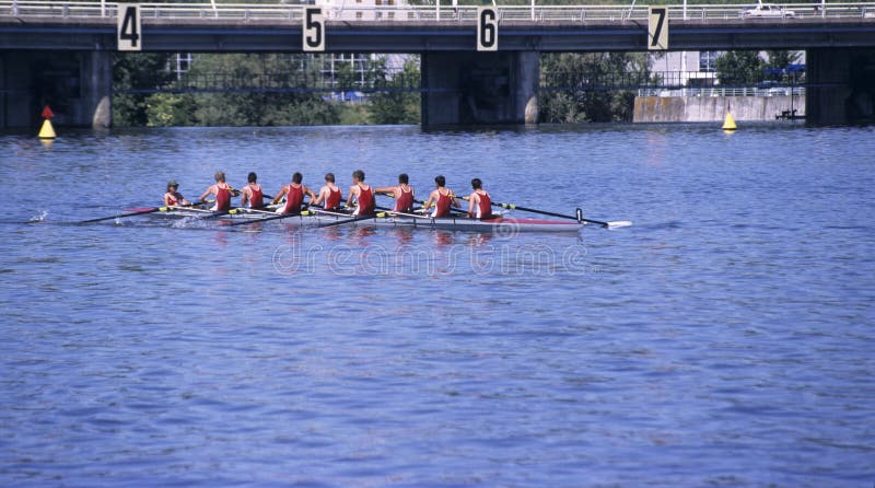 Rowing stock photo. Image of cruise, racing, river, competition - 725096