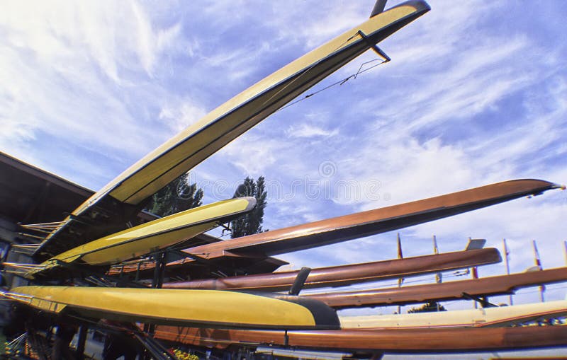 Eight man rowing shell stock photo. Image of shimmer, active - 2578162