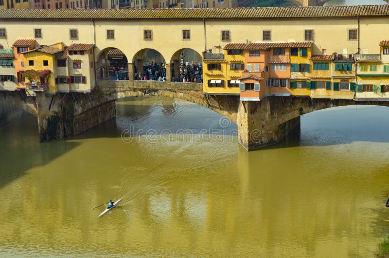 Rowing on the arno editorial photo. Image of rower, bridge - 126180586