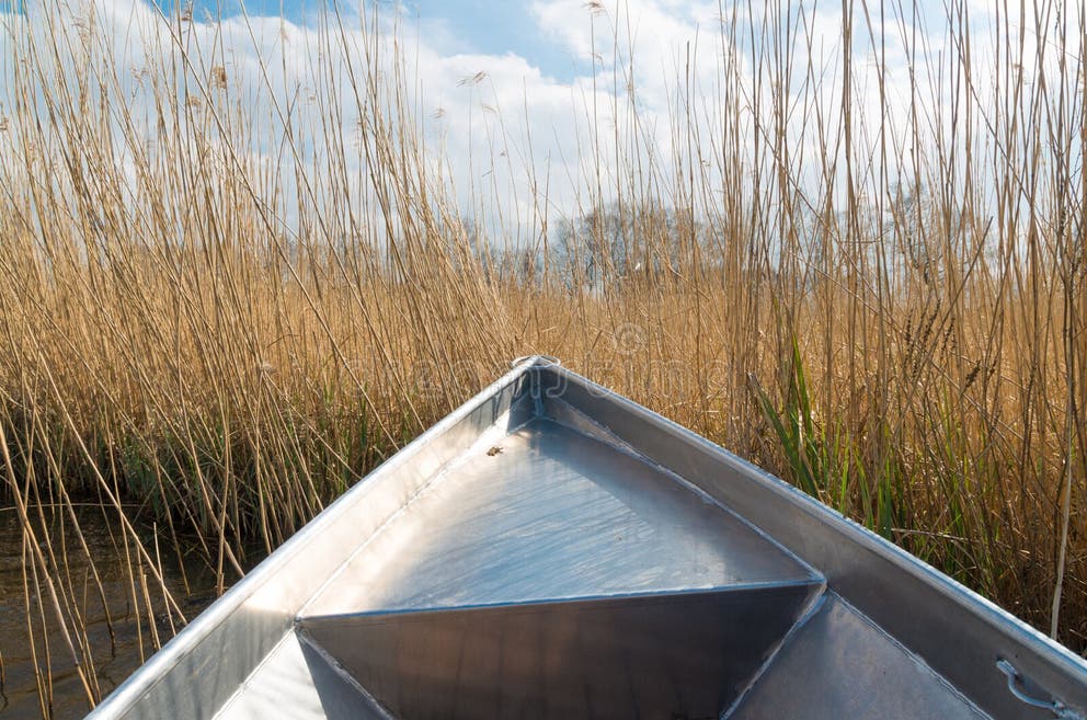 Rowing boat bow stock image. Image of boat, wetlands - 80664393