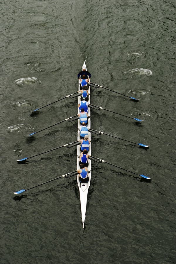 Close Up of Men S Rowing Team Stock Image - Image of watersports, oars ...