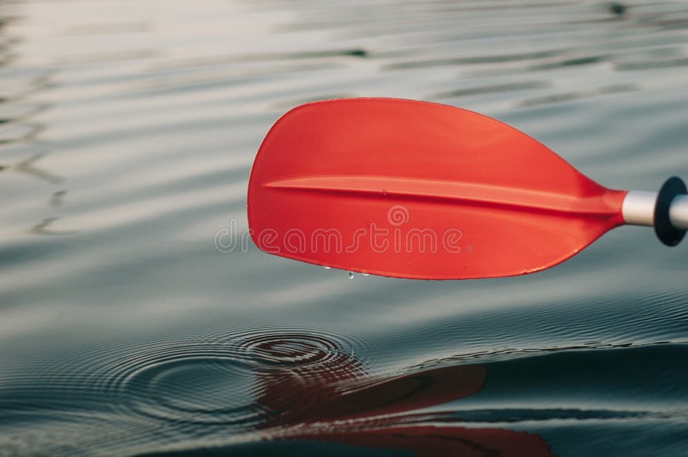 A Rowing Kayak Oar Above the Water Surface of the River Stock Image ...