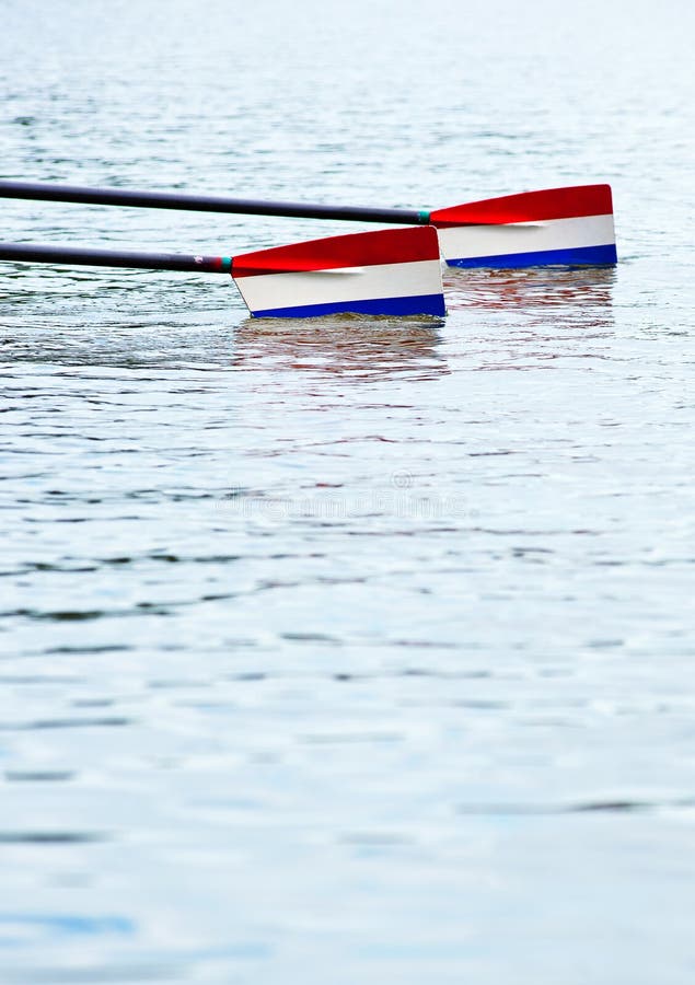 Rowing oars stock photo. Image of athlete, lake, blade - 32287540