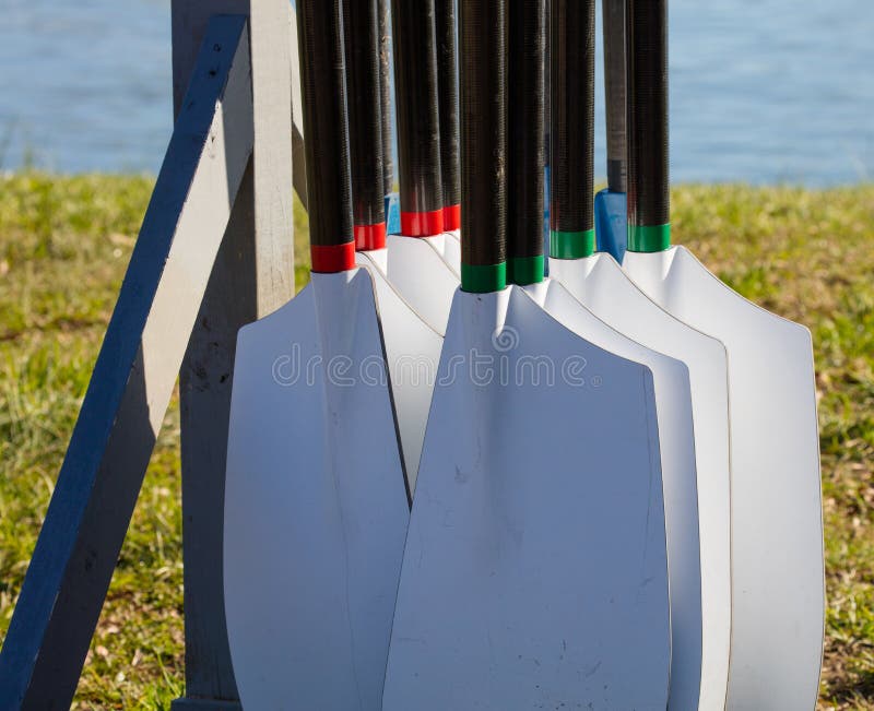 Rowing Oars stock image. Image of sport, boating, outdoor - 68949113