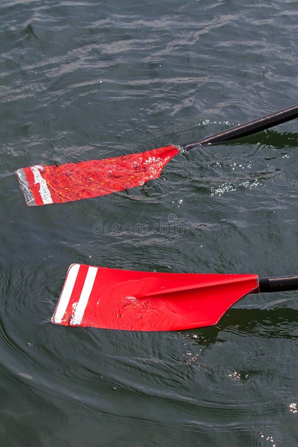 Rowing oars stock photo. Image of paddle, float, reflection - 32287474