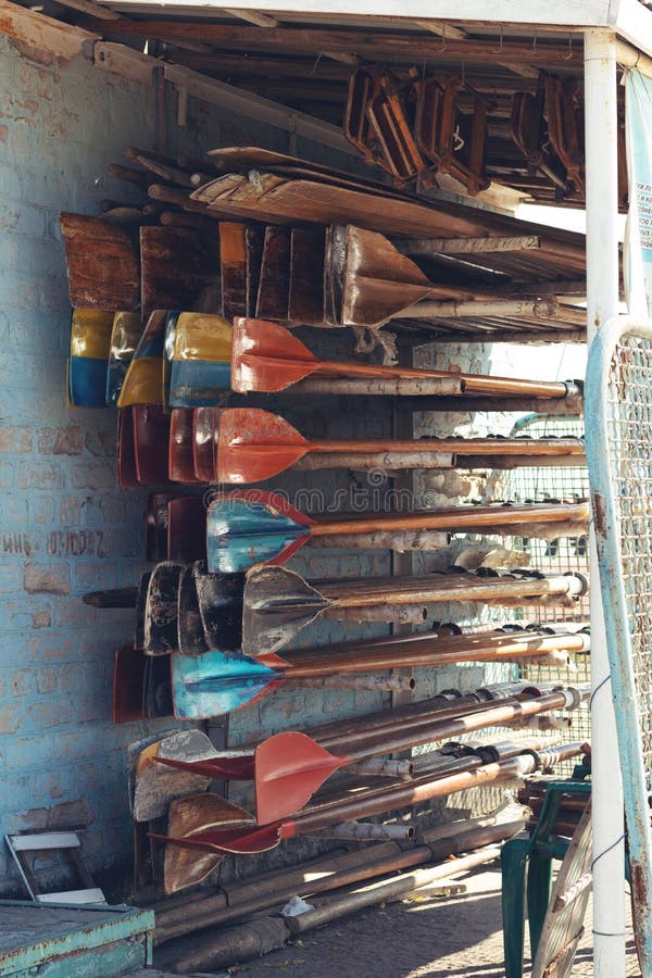 The Rowing Oars are in Storage in the Bay Stock Image - Image of ...