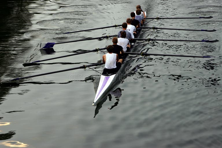 Rowing team stock photo. Image of competition, together - 255232