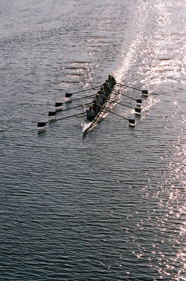 Rowing team stock image. Image of still, teamwork, boat - 4218387