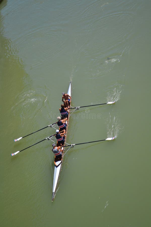 Rowing team editorial stock image. Image of people, sport - 36617379