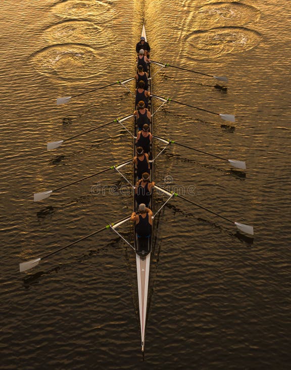 Rowing team editorial image. Image of sync, sweep, teamwork - 56964135