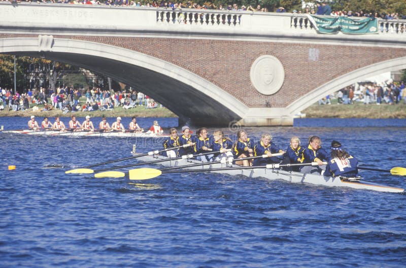 Rowing Under Cambridge Bridge Editorial Photography - Image of bridge ...