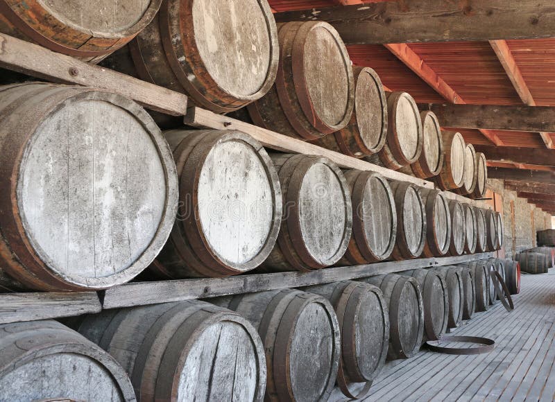Rows of aged wine barrels stock photo. Image of winery - 63539868