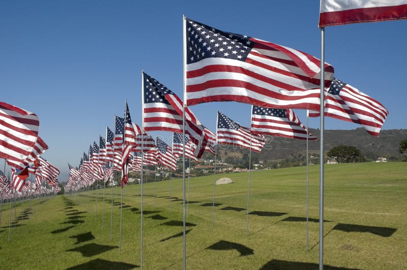 Rows of American Flags stock photo. Image of white, stars - 11160302