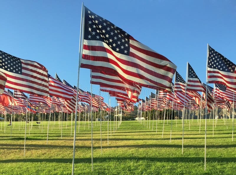 Rows of American Flags stock image. Image of patriotic - 59327257