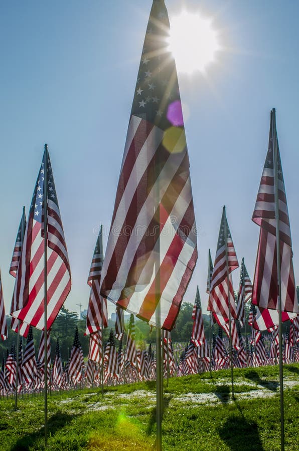 The Sun Shines Behind Many American Flags in St. Louis, Missouri Stock ...
