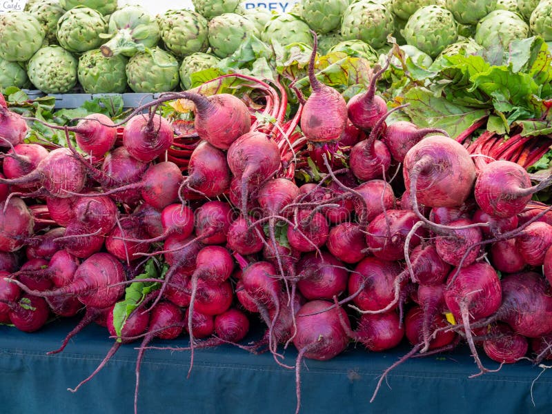 Rows of Beets Root Vegetables Sitting on Table at Farmers Market Stock ...
