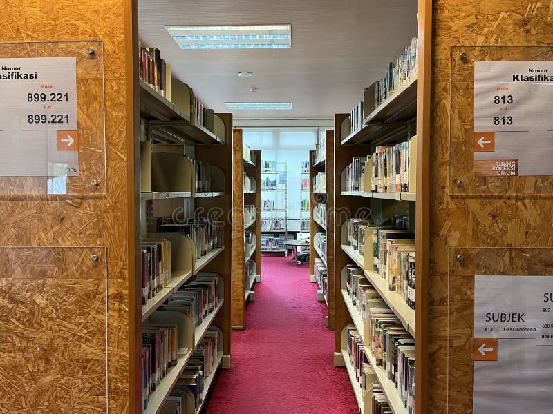 Lots of Books in a Library. Editorial Photography - Image of ancient ...