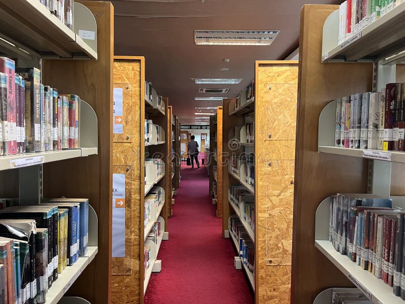 Lots of Books in a Library. Editorial Photography - Image of ...