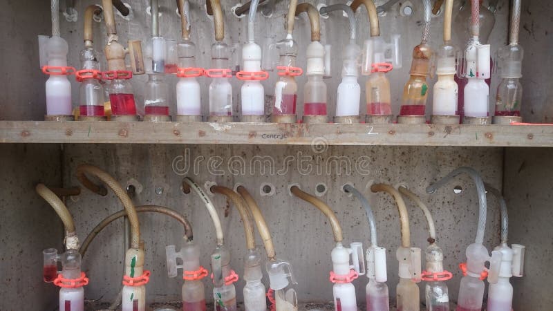 Rows of Bottles Containing Chemicals Stock Image - Image of photograph ...
