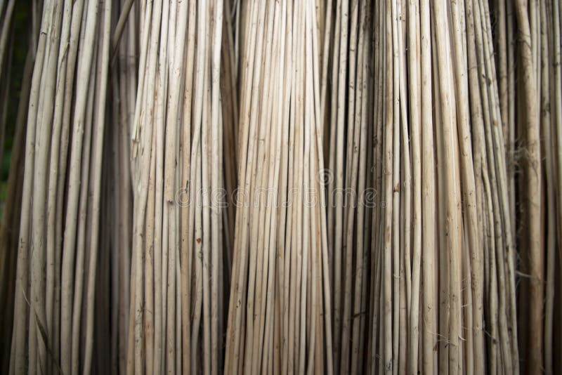 Rows and Rows of Brown Jute Sticks Texture Background of a Field Stock ...