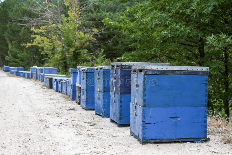 Blue Bee Hives in the Field at Thassos Stock Photo - Image of honey ...
