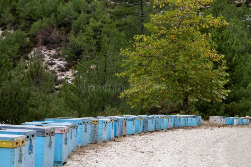 Blue Bee Hives in the Field at Thassos Stock Photo - Image of organic ...
