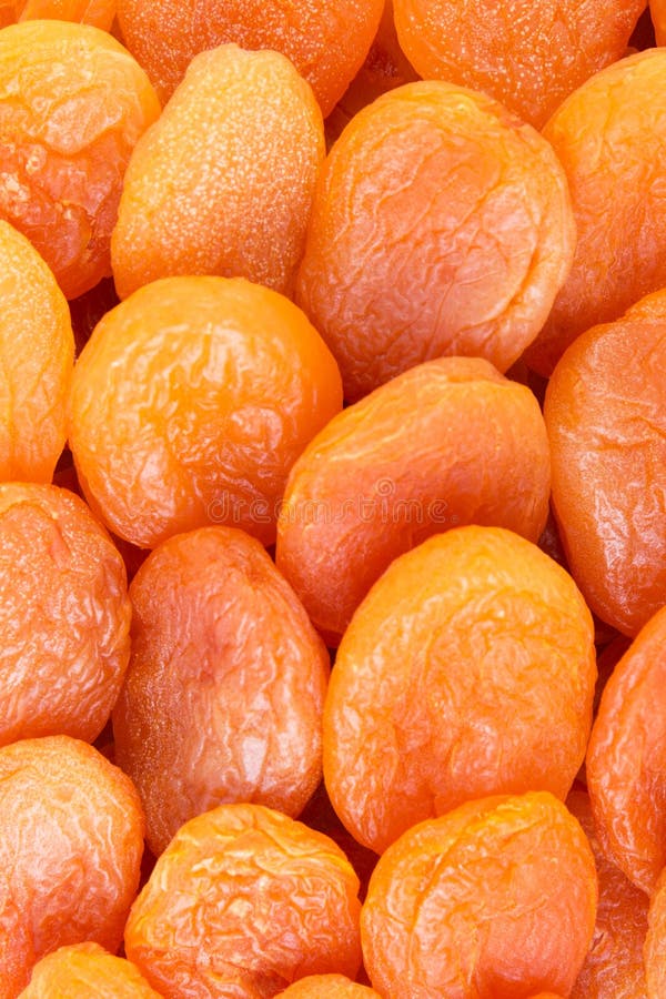 Rows of Dried Apricots. Textured Fruit Background Stock Image - Image ...