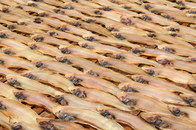 Rows of Dried Fish. Traditional Preservation Method for Seafood, Ready ...