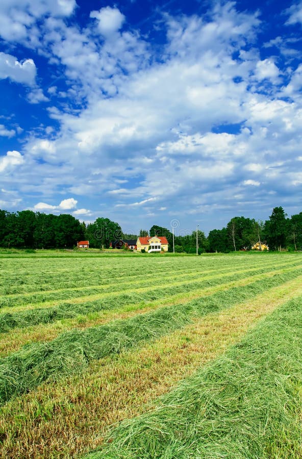 Works on the lawn stock image. Image of campaign, tractor - 14465571