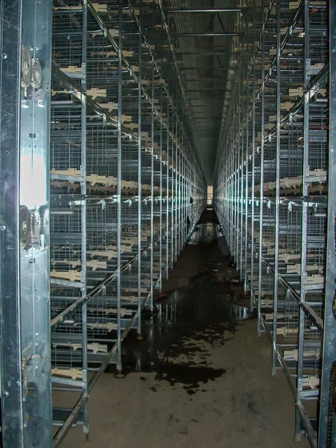 Rows of Empty Cages from Inside an Industrial Chicken Egg Layer ...