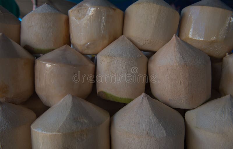 Rows Fresh Coconuts in the Market. Tropical Fruit Fresh Coconut in the ...