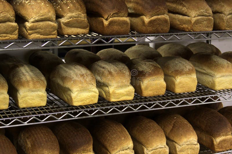 Rows of Freshly Baked Bread Stock Photo - Image of shelves, loaf: 16749598