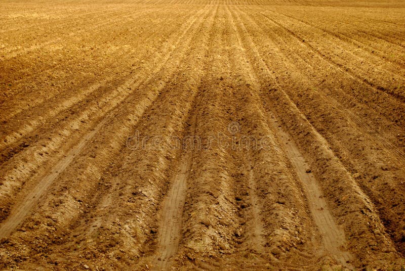 Rows and Furrows on Ploughed Field for Farming Agricultural Prod Stock ...