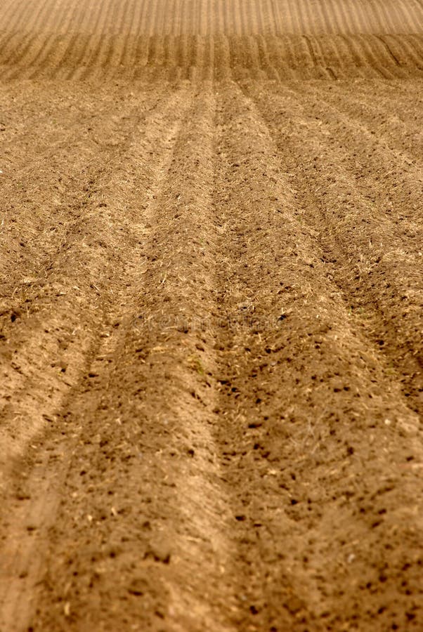 Rows of Furrows in Field stock photo. Image of harvest - 9718152