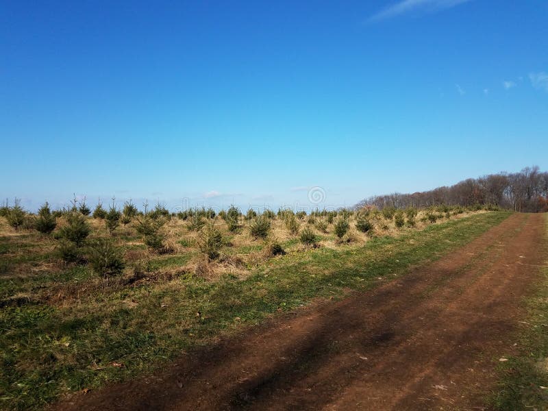 On Farm Dirt Road Across Rolling Pastures Stock Image - Image of fields ...