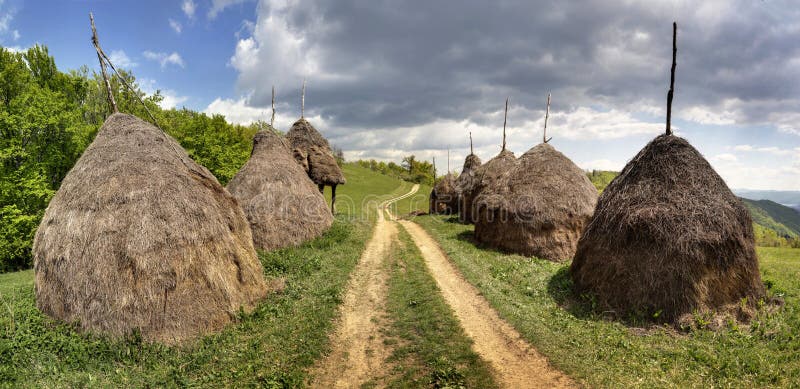 Rows of Haystacks in Banat, Romania Stock Photo - Image of farming ...