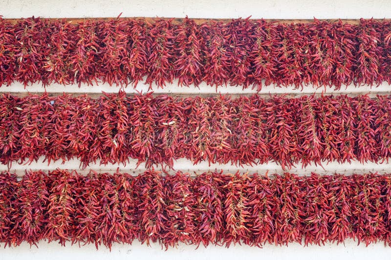 Rows of Hot Paprika Harvest Drying in the Sun Stock Image - Image of ...