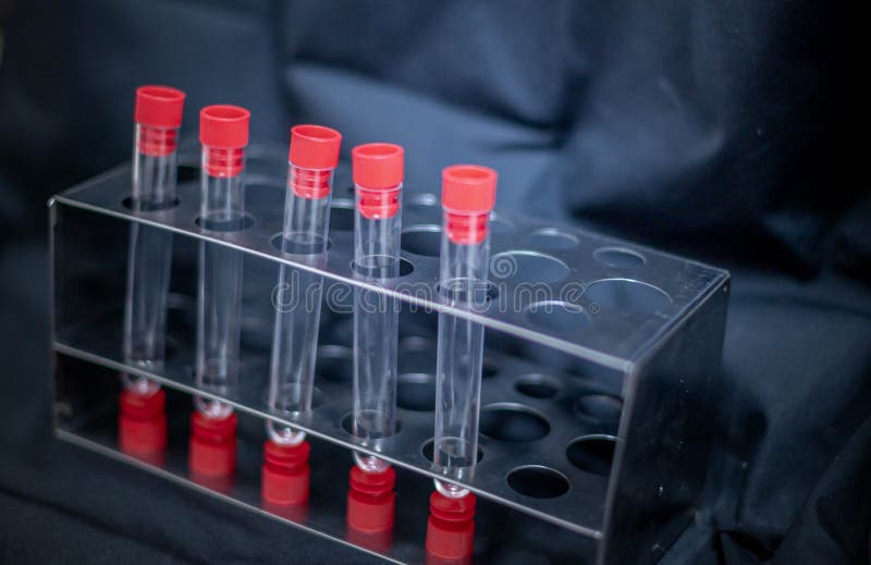Rows of Laboratory Test Tubes Use for Experiment Scientist. for the ...