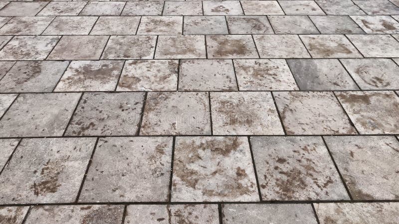 Rows and Lines of Square Sidewalk Gray Tiles on the Floor Outside or ...
