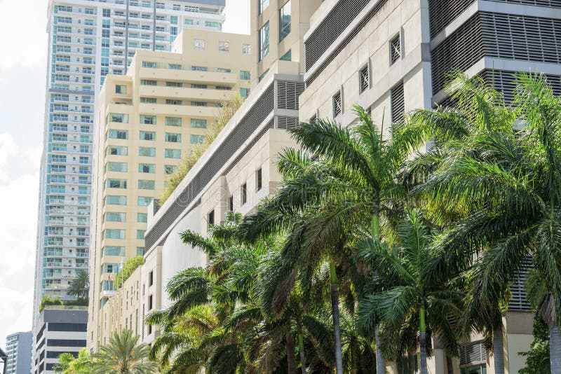 Rows of Modern Multi-storey Buildings with Palm Trees at the Front in ...