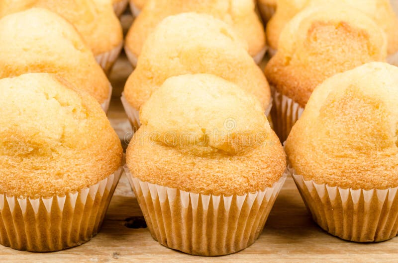 Rows of muffins stock photo. Image of food, confectionery - 49956916