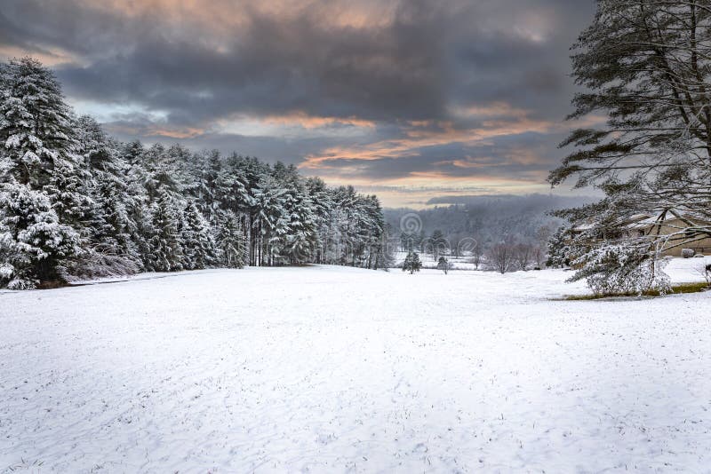 Snow Men Line Up with Red Cap Stock Photo - Image of cold, group: 61889918