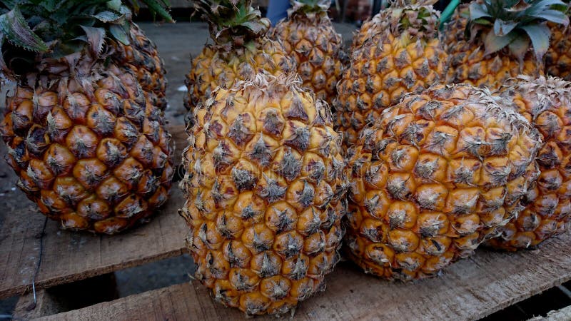 Rows of Pineapple Plant Growing in Plantation, Azores, Portugal ...