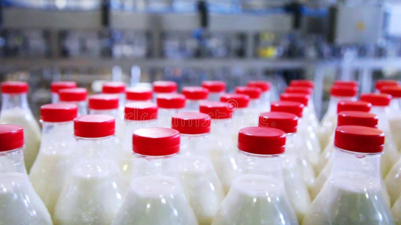 Rows of Plastic Bottles with Milk at Factory Move Stock Video - Video ... Rows of Plastic Bottles with Milk at Factory Move Stock Video - Video ...